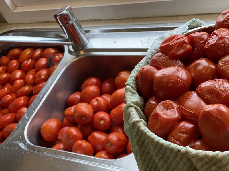 Passata Making - Cooking on the Bay